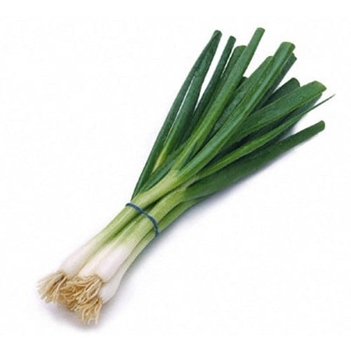 Daepa Welsh Onion - 1004Gourmet.com