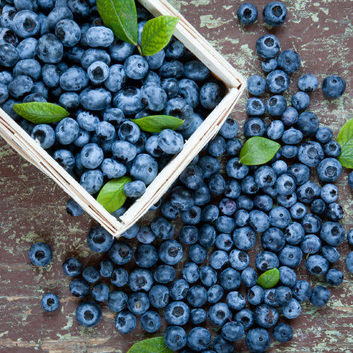 Blueberry 100g - 1004Gourmet.com