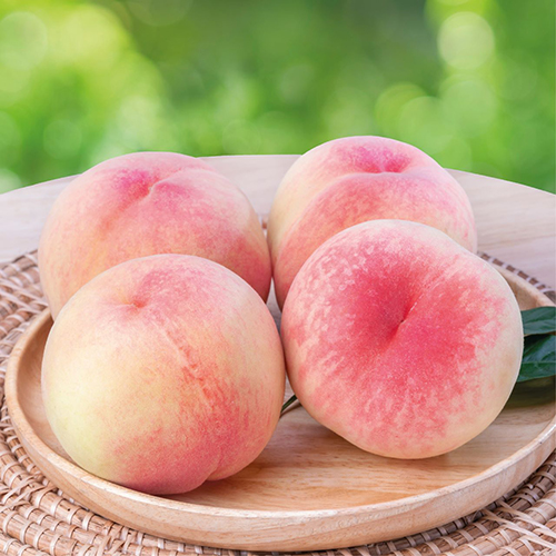 Pink Peach (2pcs/pack) - 1004Gourmet.com