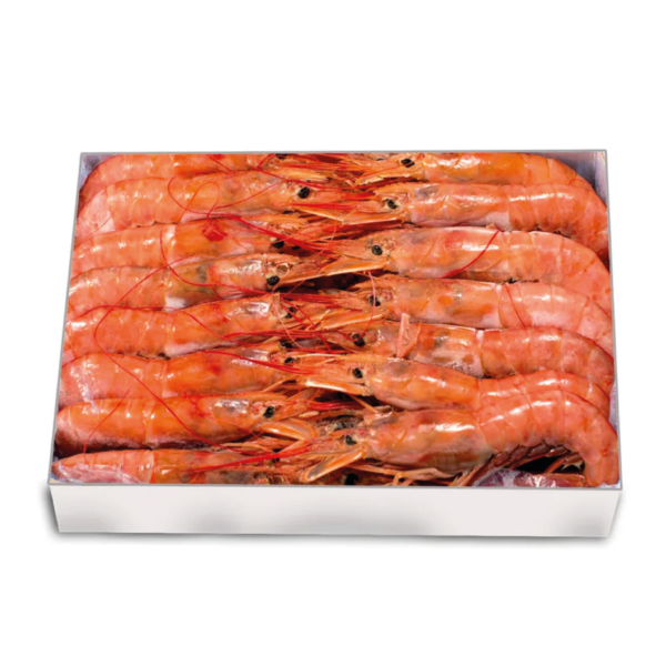 Botan Ebi XL (21-25) - 1004Gourmet.com