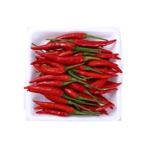 Thai Bird Chili - 1004Gourmet.com